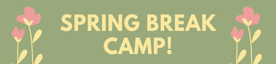 Southlake Gymnastics Academy